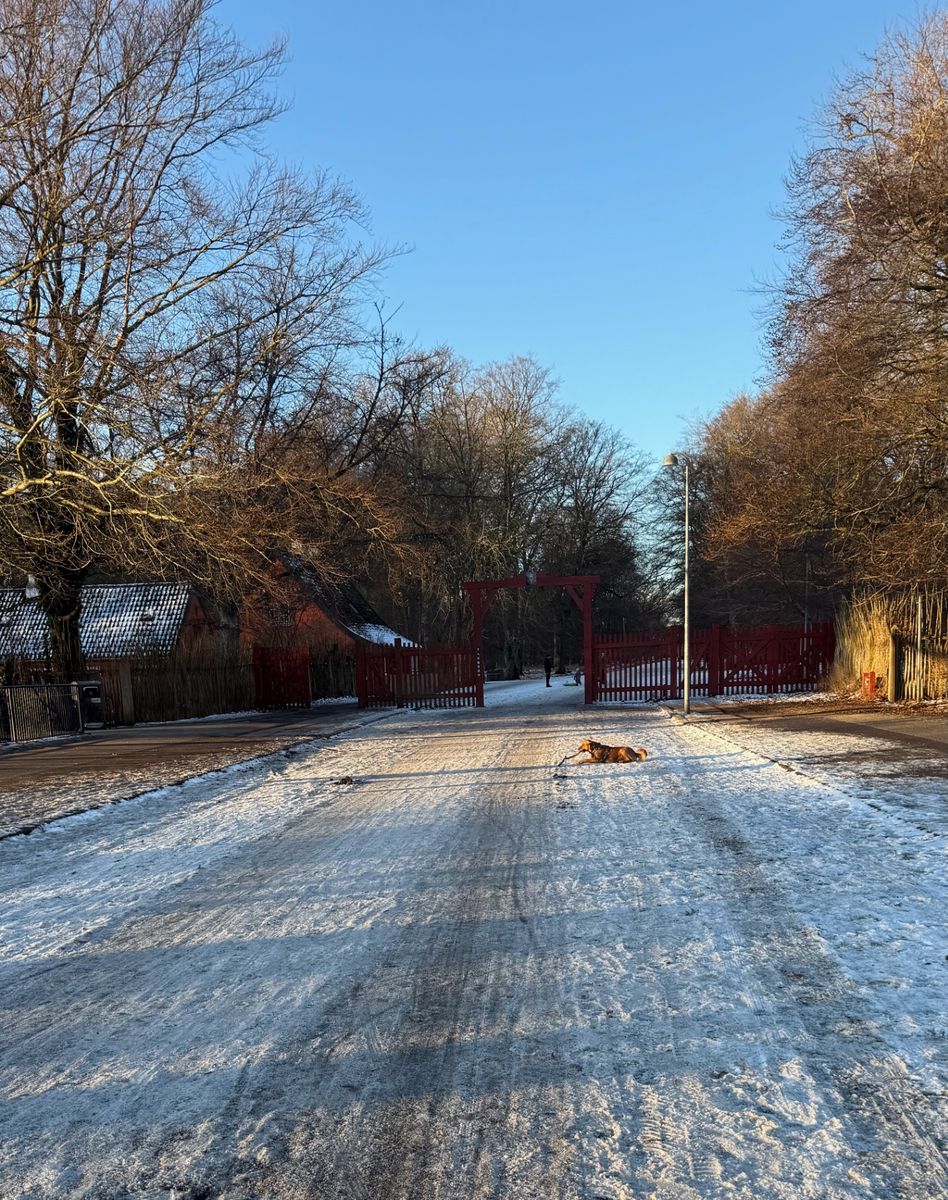 Psykoterapeut i Klampenborg | Mille Hertz – Terapi & Coaching